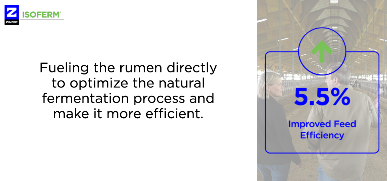 Zinpro® Availa® Dairy – Zinpro®