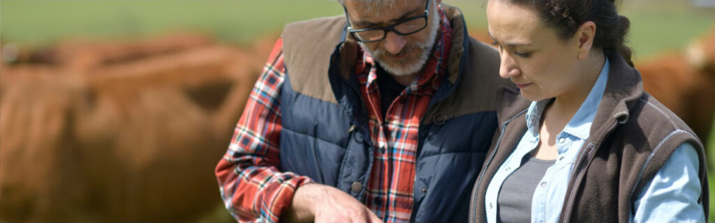 Performance Mineral Products for Animals – Zinpro®