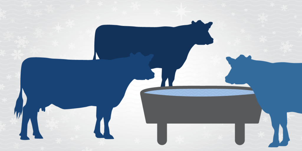 Tips for Improving Water Quality in Dairy Cattle Nutrition – Zinpro®