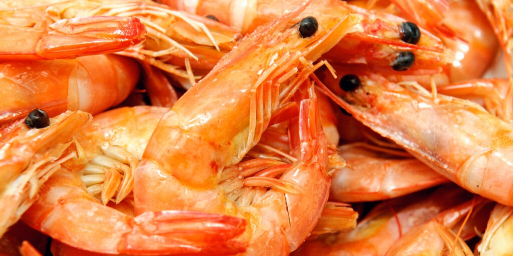 Improve Shrimp Color | Performance Trace Minerals | Zinpro