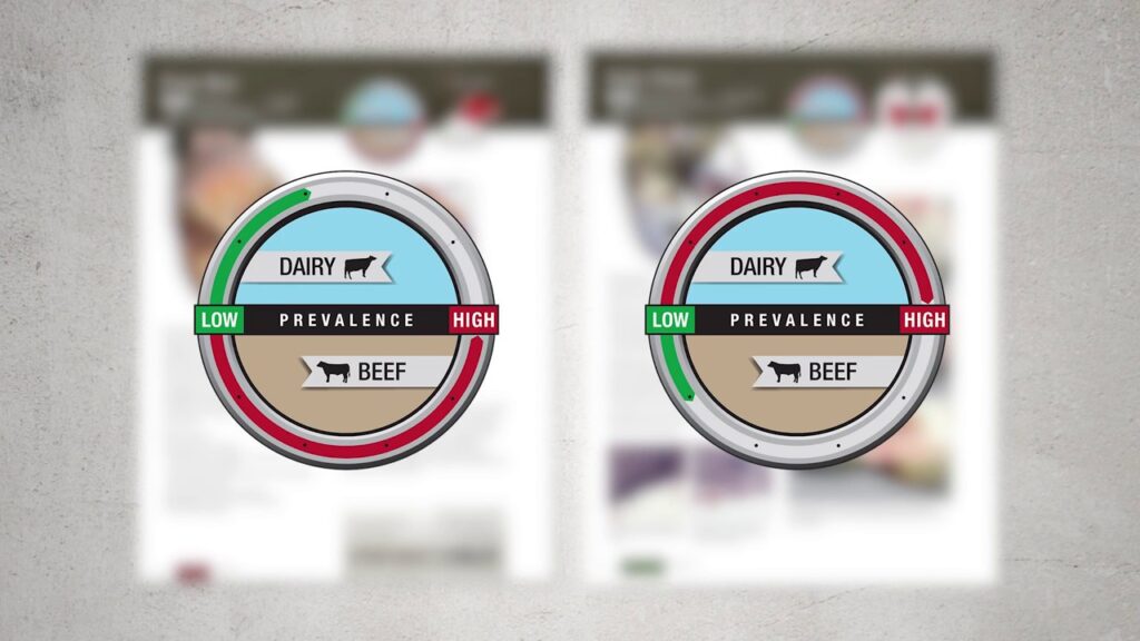 Cattle Lameness: Identification, Prevention and Control of Claw Lesions | Understanding the ...