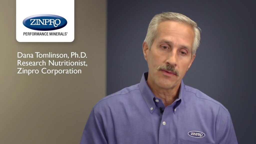 Cattle Lameness: Identification, Prevention and Control of Claw Lesions | Groundbreaking New ...