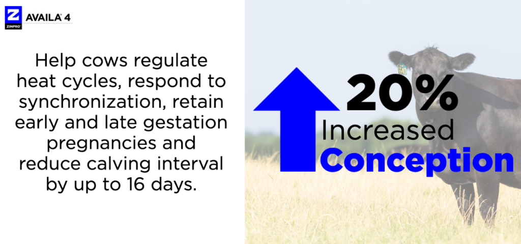 Availa 4 Cow/Calf – Zinpro®