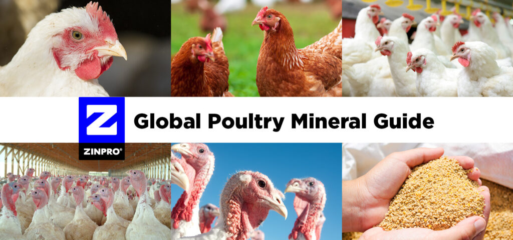 Poultry Mineral Guide – Zinpro®