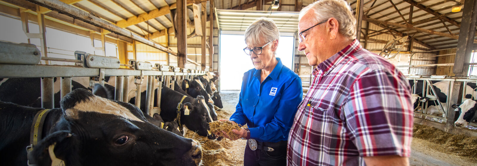 Superior Animal Nutrition Solutions – Zinpro®