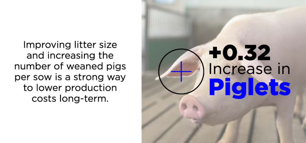 Zinpro® Availa® Sow – Zinpro®