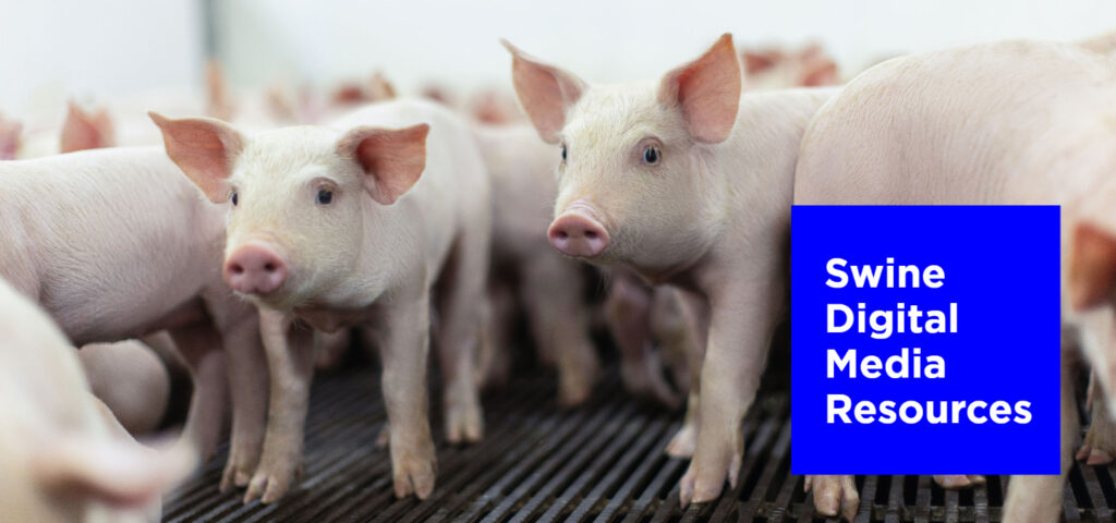 Swine Media Kit – Zinpro®