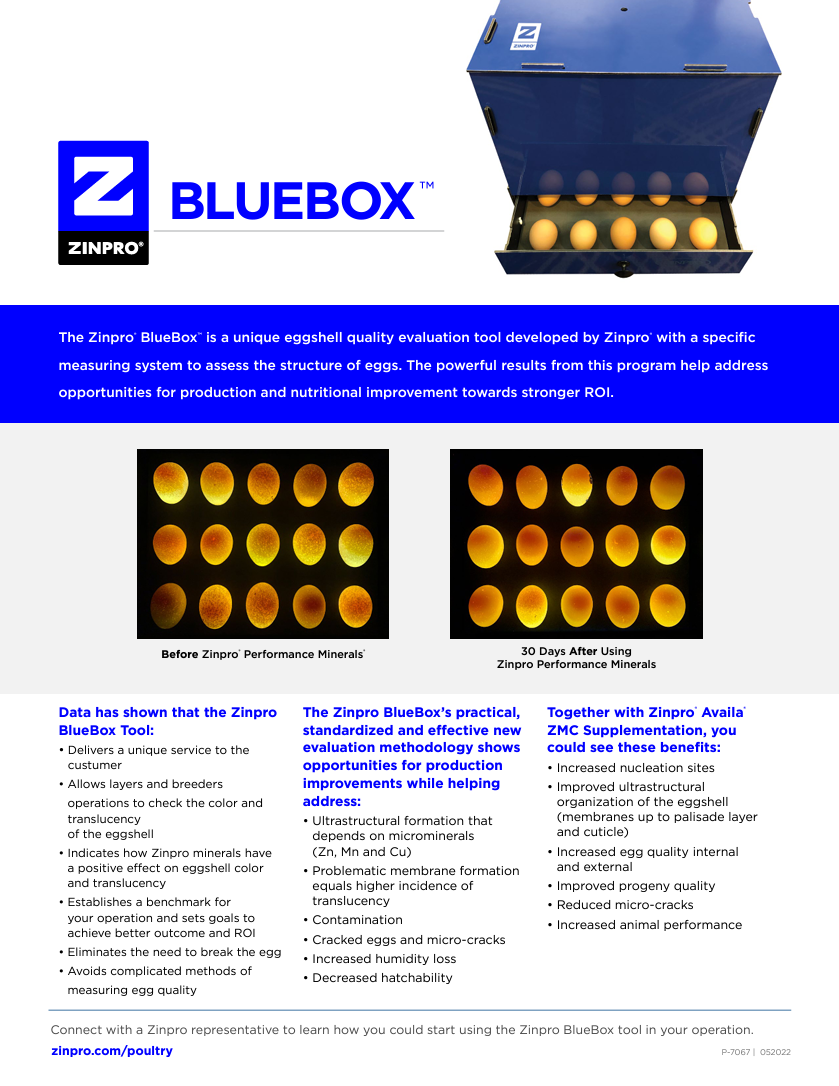 Zinpro® BlueBox™ – Eggshell Quality