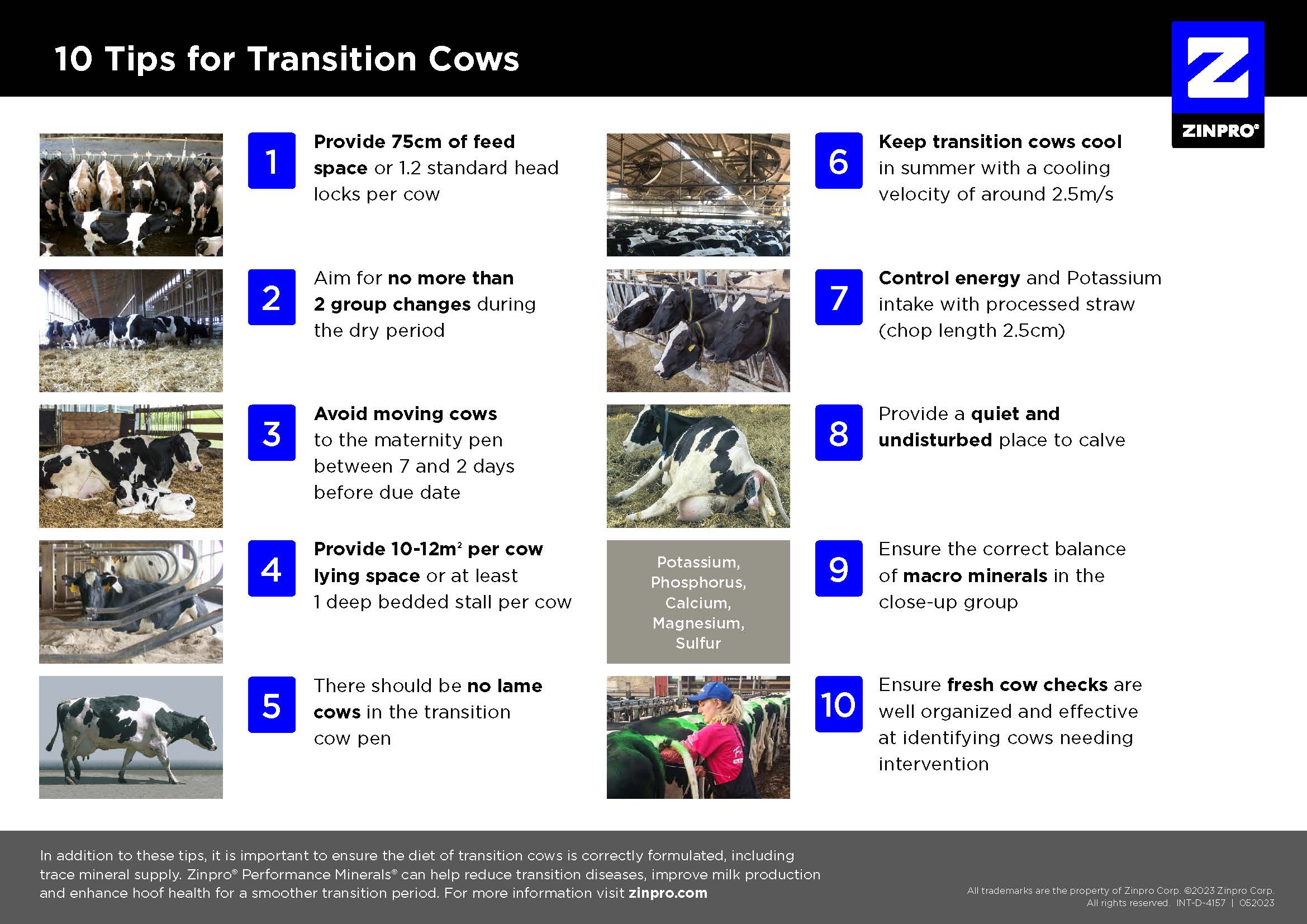 FirstStep Academy – Zinpro®