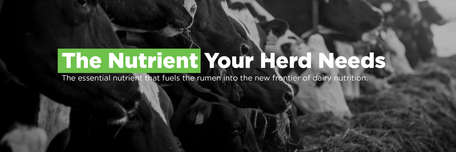 IsoFerm World Dairy Expo Confirmation – Zinpro®