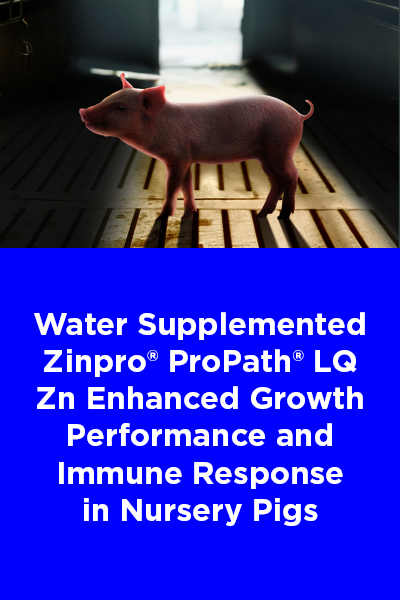 Water Supplemented Zinpro ProPath LQ Enhanced Growth Performance and ...