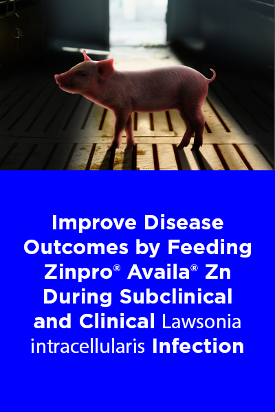 Lawsonia and Nursery Pigs