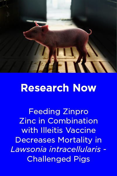 Feeding Zinpro Availa Zn in Combination with Ileitis Vaccine Decreases ...