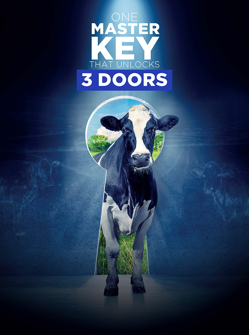 Availa ECM3 UK – Zinpro®